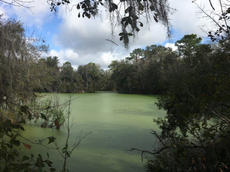 Alafia River State Park outside of Tampa, Florida – VeganRV