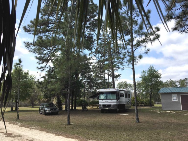 A Relaxing Stay at Goethe State Forest – VeganRV