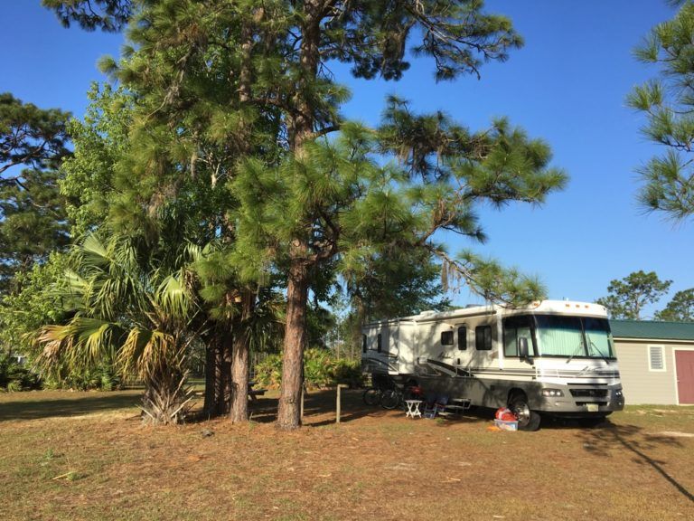 A Relaxing Stay at Goethe State Forest – VeganRV