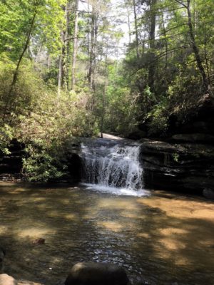 Table Rock State Park in South Carolina - VeganRV.com