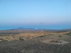 Free things to do in Las Vegas and nearby - VeganRV.com