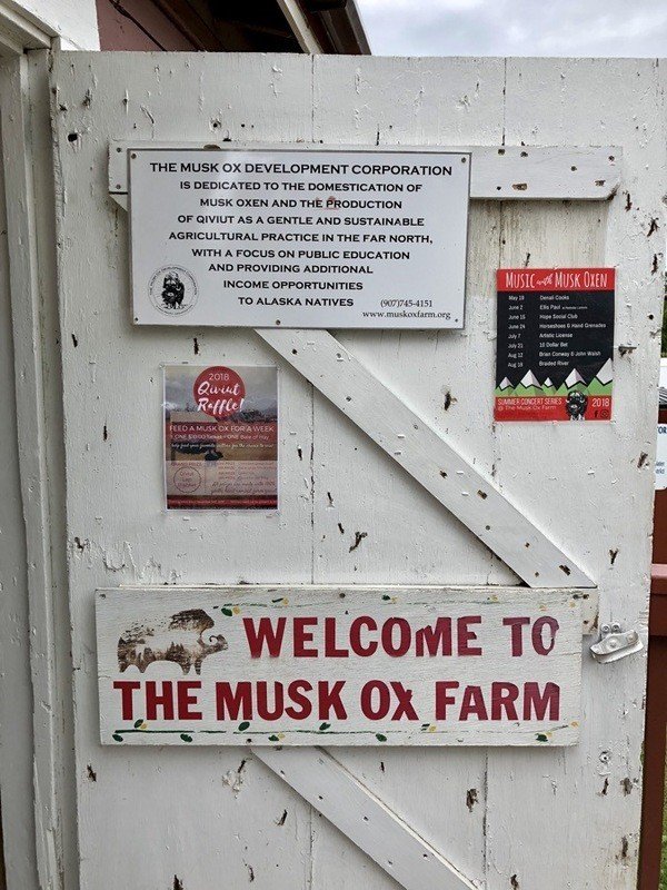A visit to The Musk Ox Farm in Palmer, Alaska – VeganRV