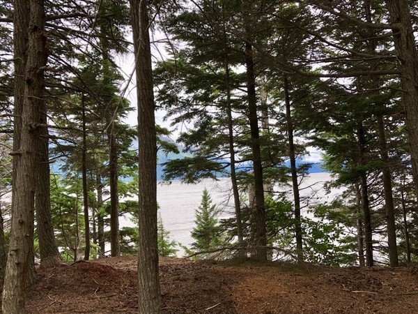 Exploring the little fishing town of Hope, Alaska – VeganRV