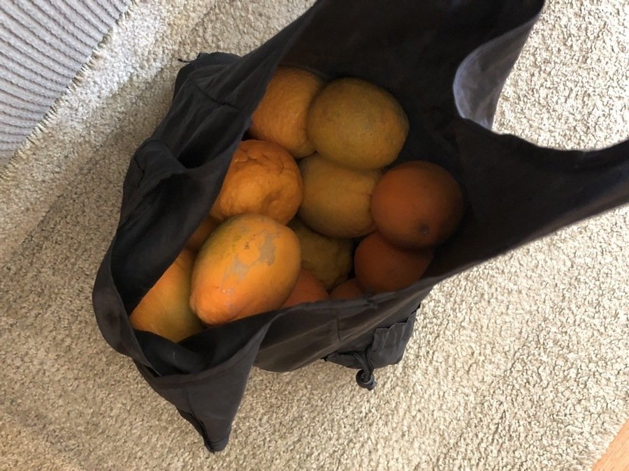 RV Camping in Baja, Mexico