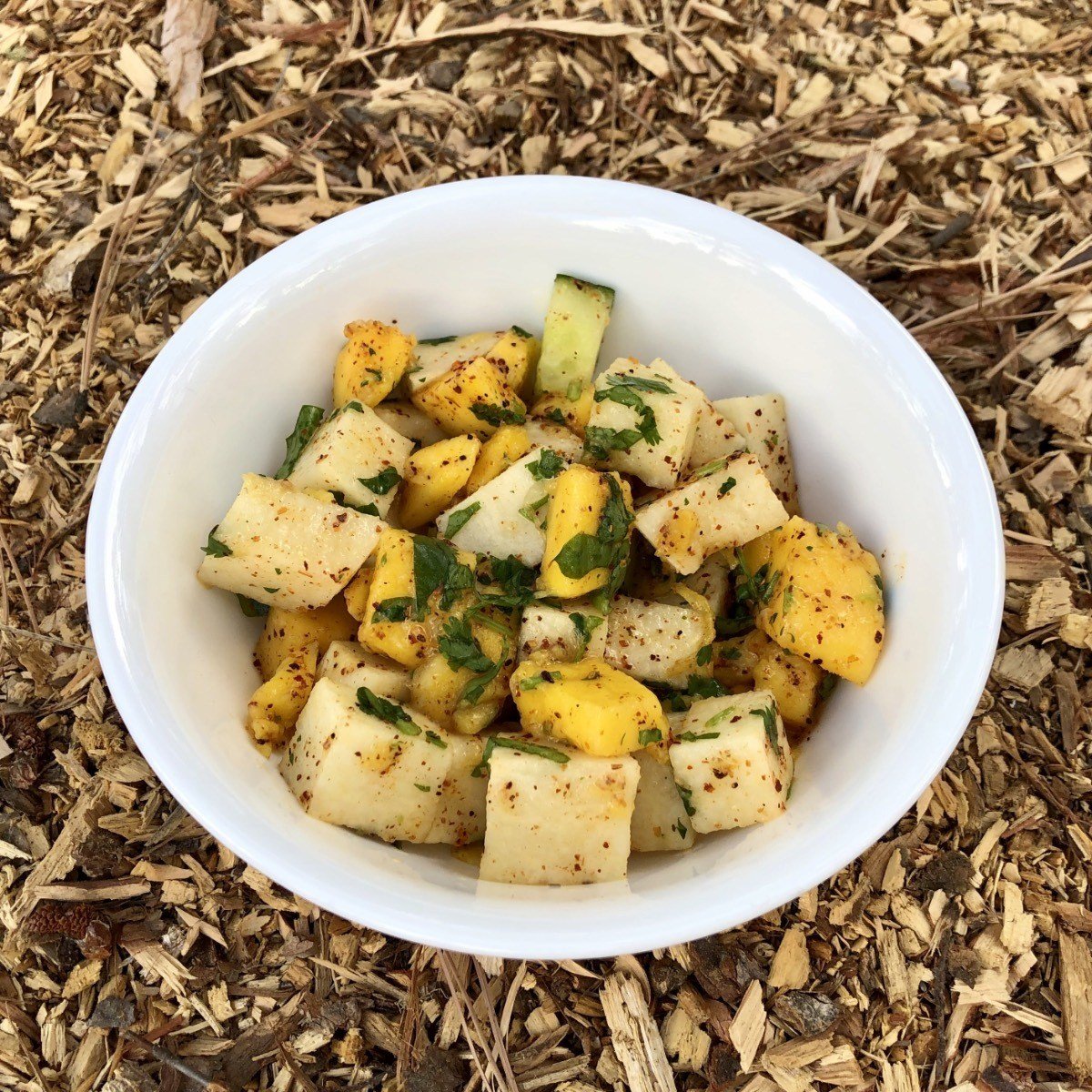 Mango Jicama Salad – VeganRV
